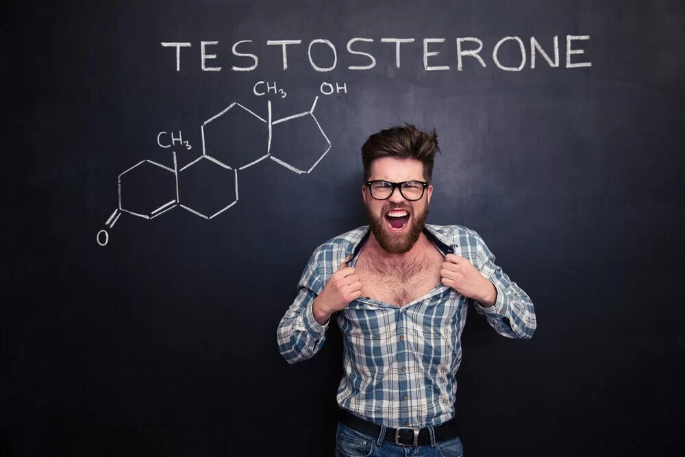 ¿La testosterona te hace enfadar? | KryoLife Health