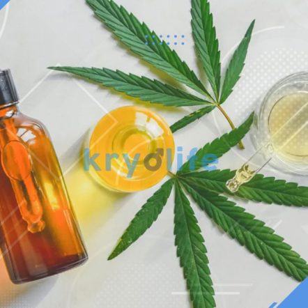 How To Use CBD Oil To Improve Overall Well-Being? | KryoLife Health